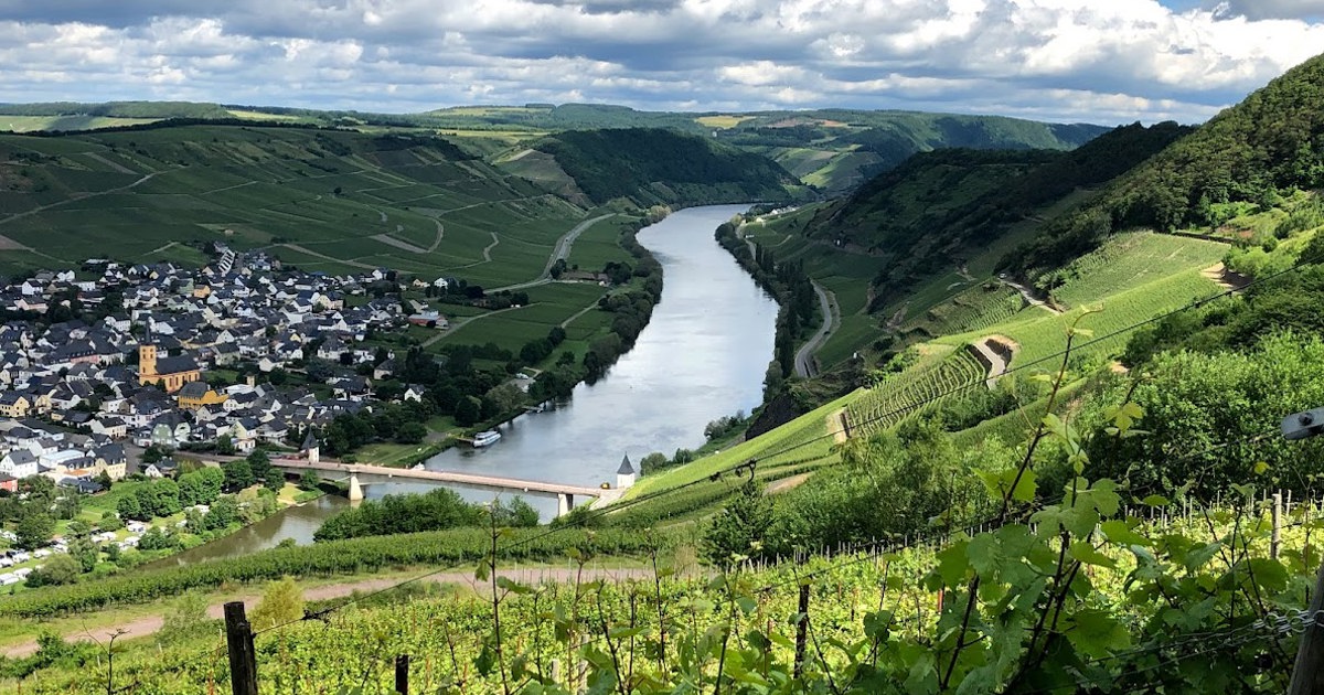 Vinene fra Mosel